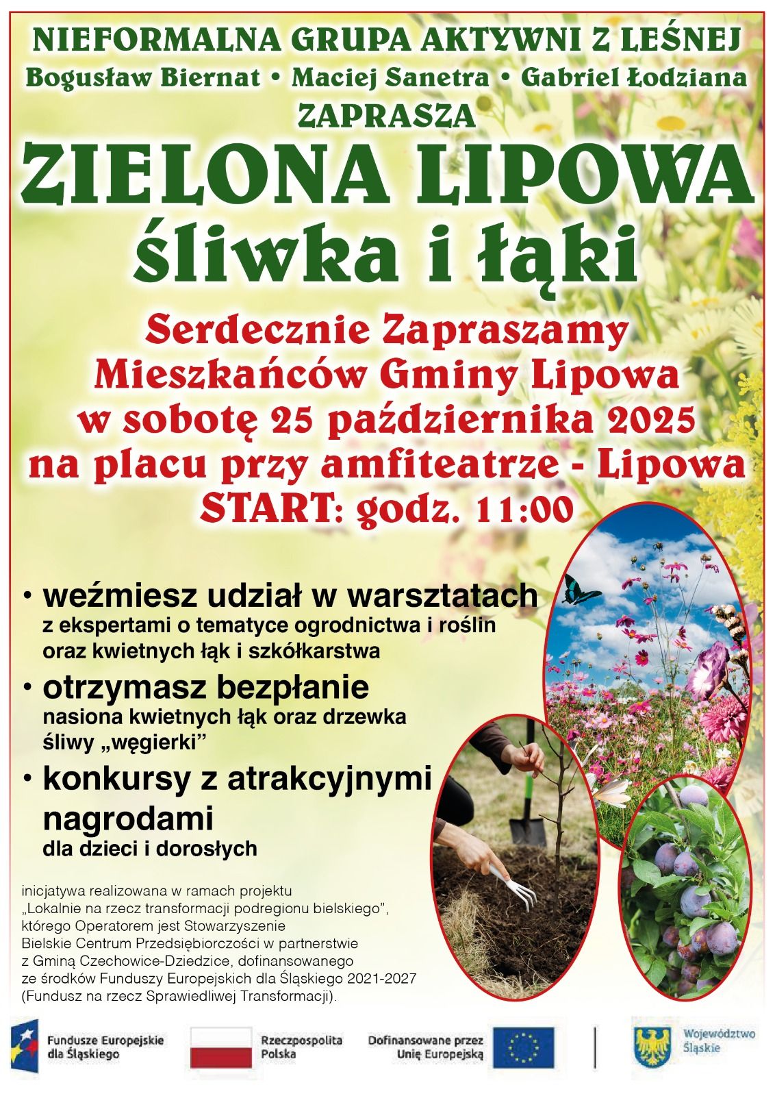 ZIELONA LIPOWA – śliwka i łąki! – Gmina Lipowa